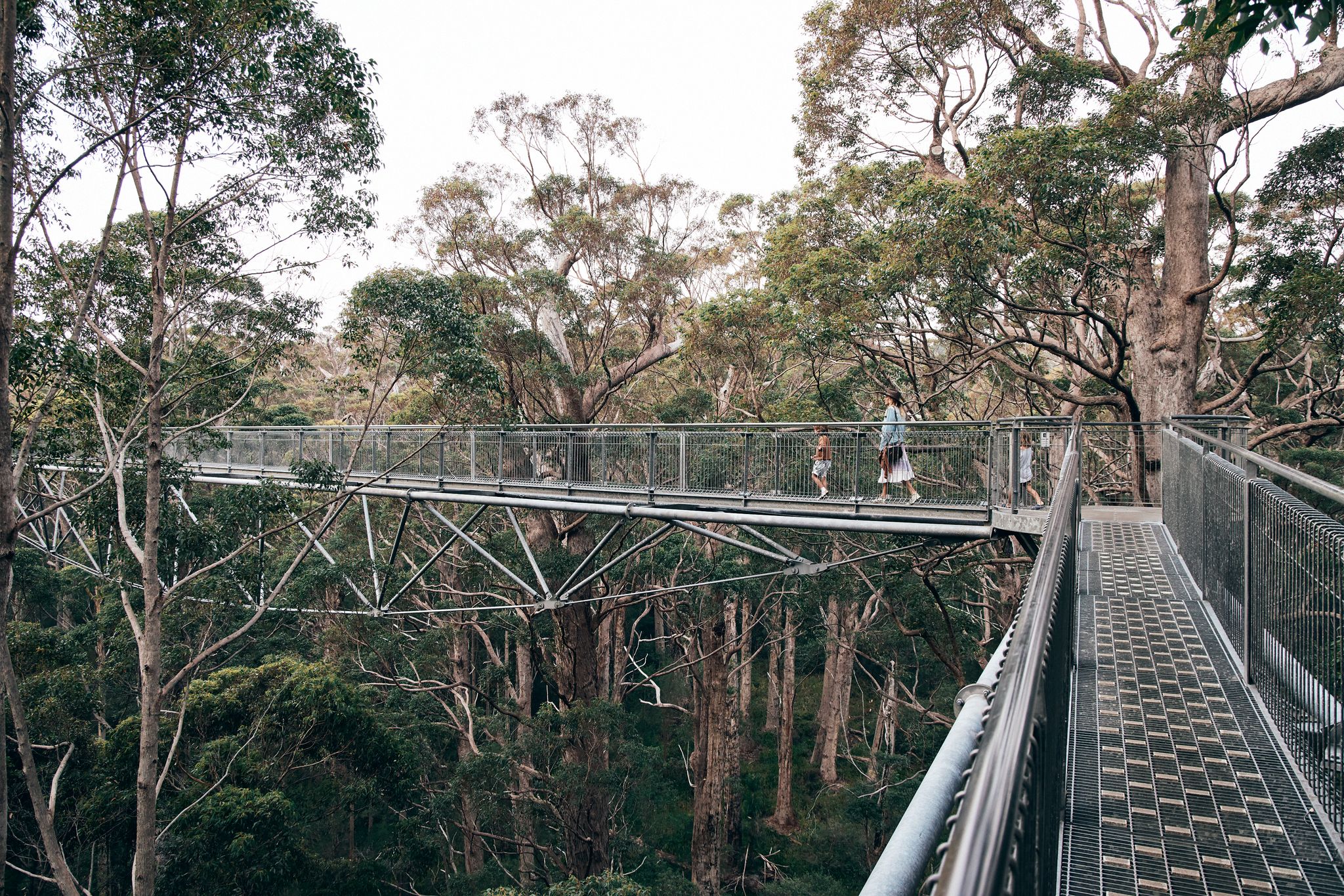 Walpole - Top Things To Do | Australia's South West