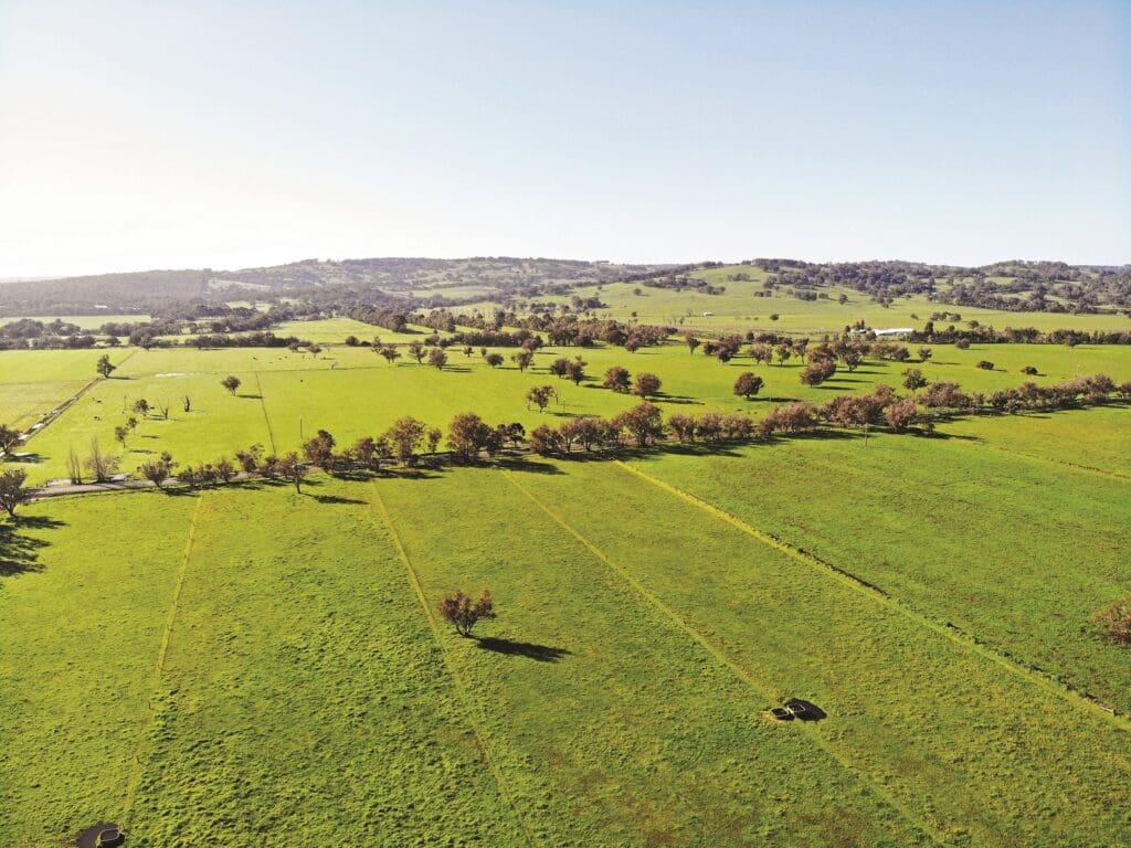 Beerfarm Metricup Rodeo | Australia's South West