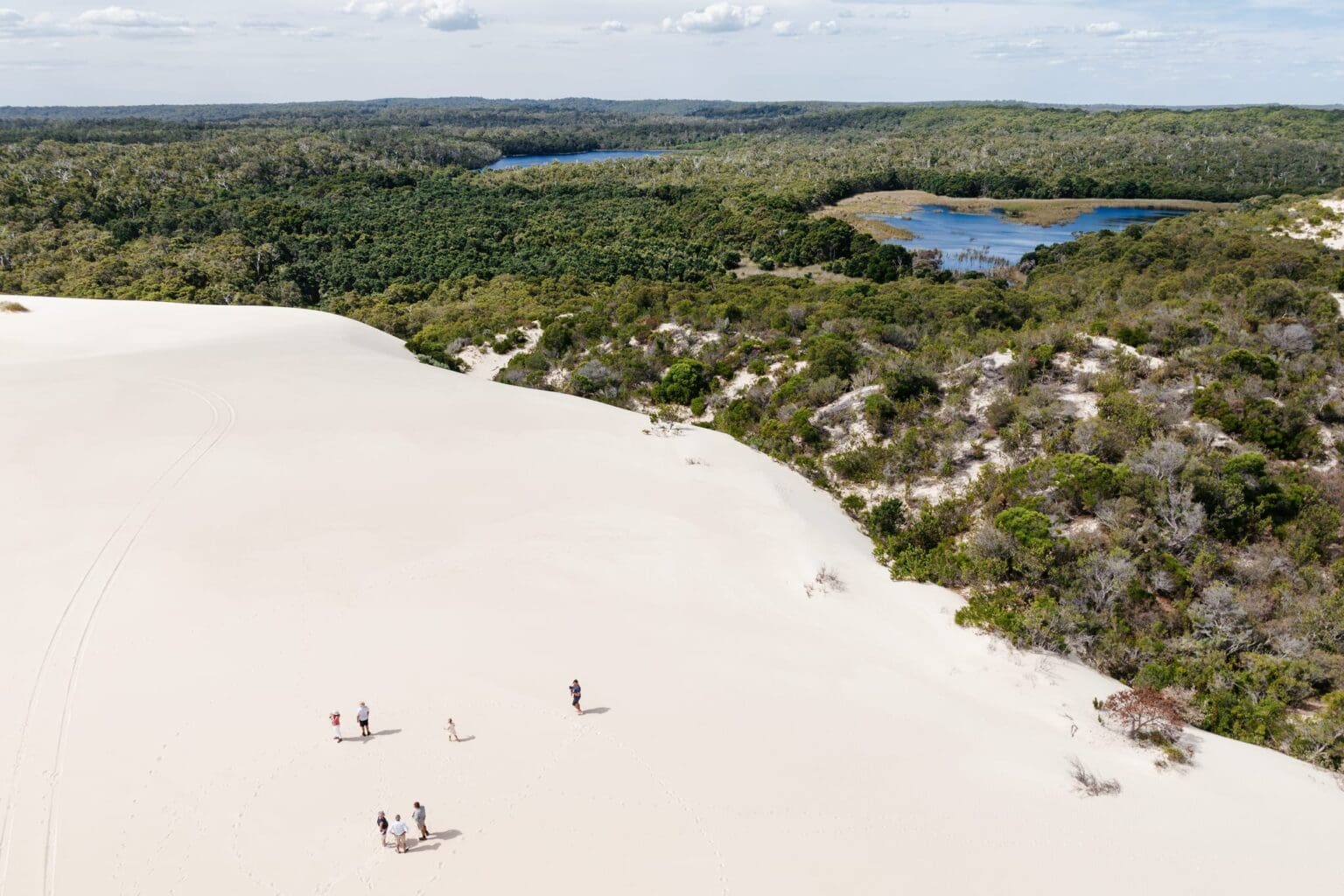 Pemberton - Things To Do & See | Australia's South West