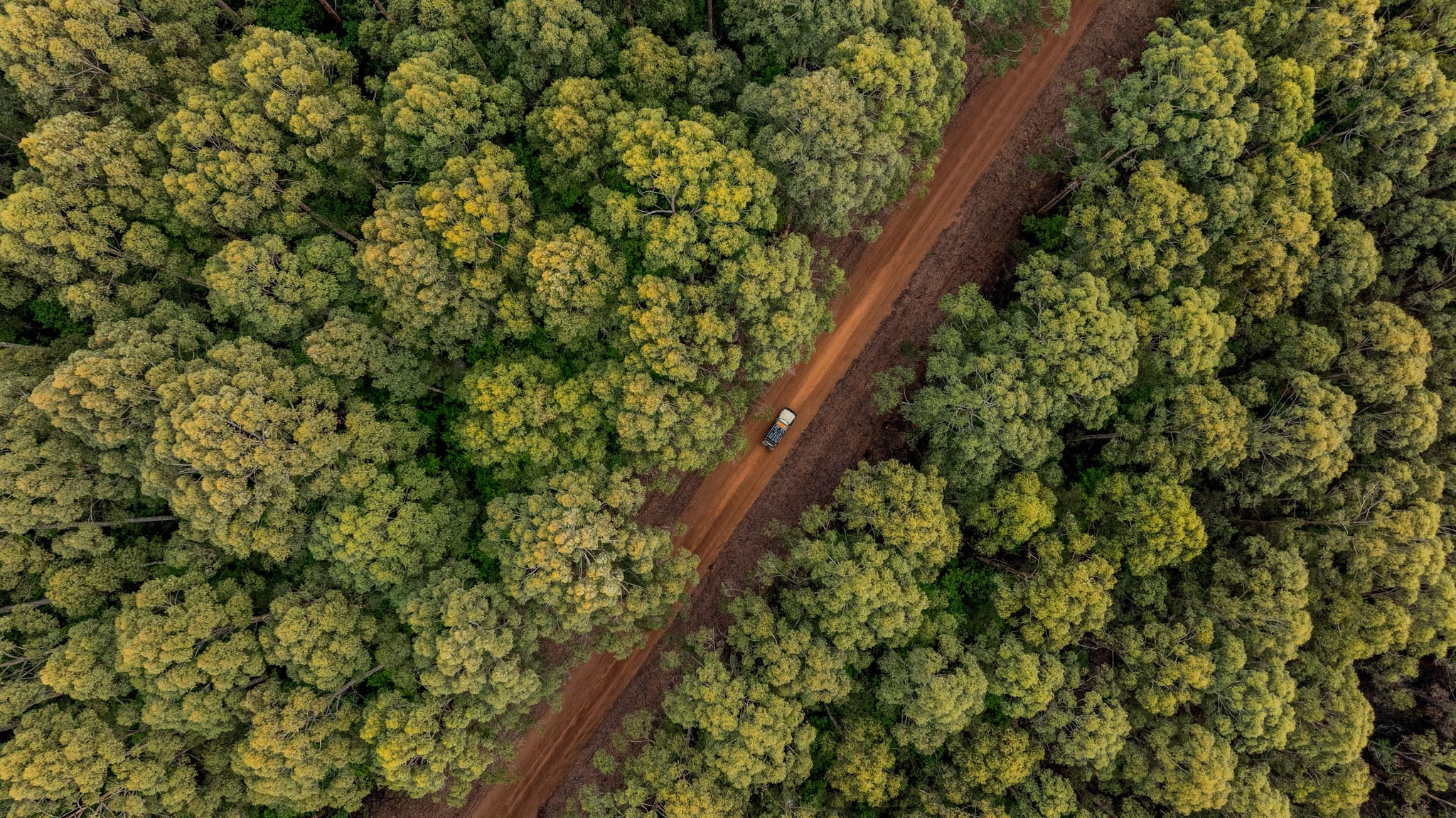 Southern Forests and Valleys Region: Things to do and More!