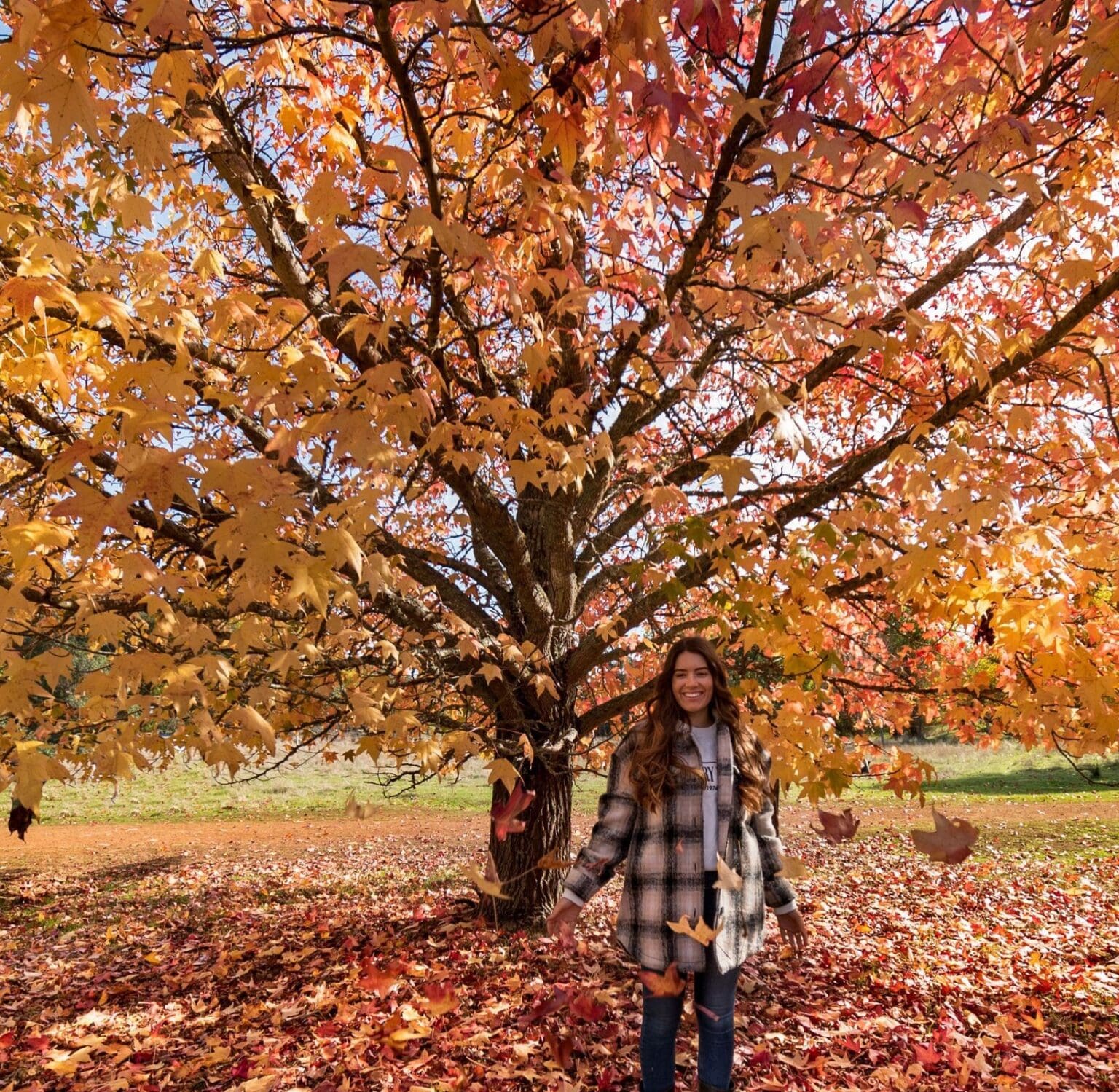 Balingup, WA: Things To Do, Where to Stay & More in 2025