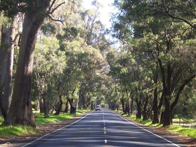 Capel Region | Australia's South West