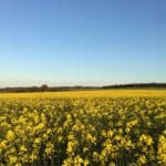 Pingrup, WA: Things To Do, Where to Stay & More in 2025