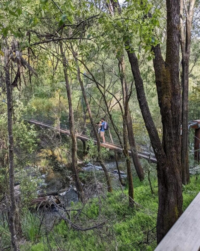 Pemberton - Things To Do & See | Australia's South West