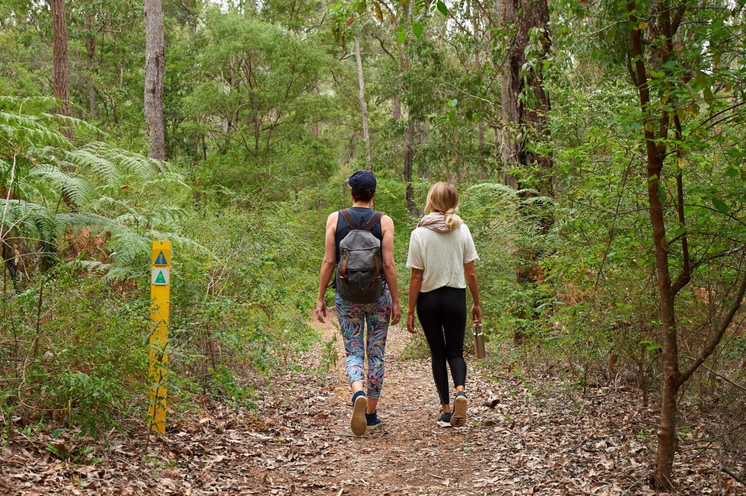 Pemberton - Things To Do & See | Australia's South West