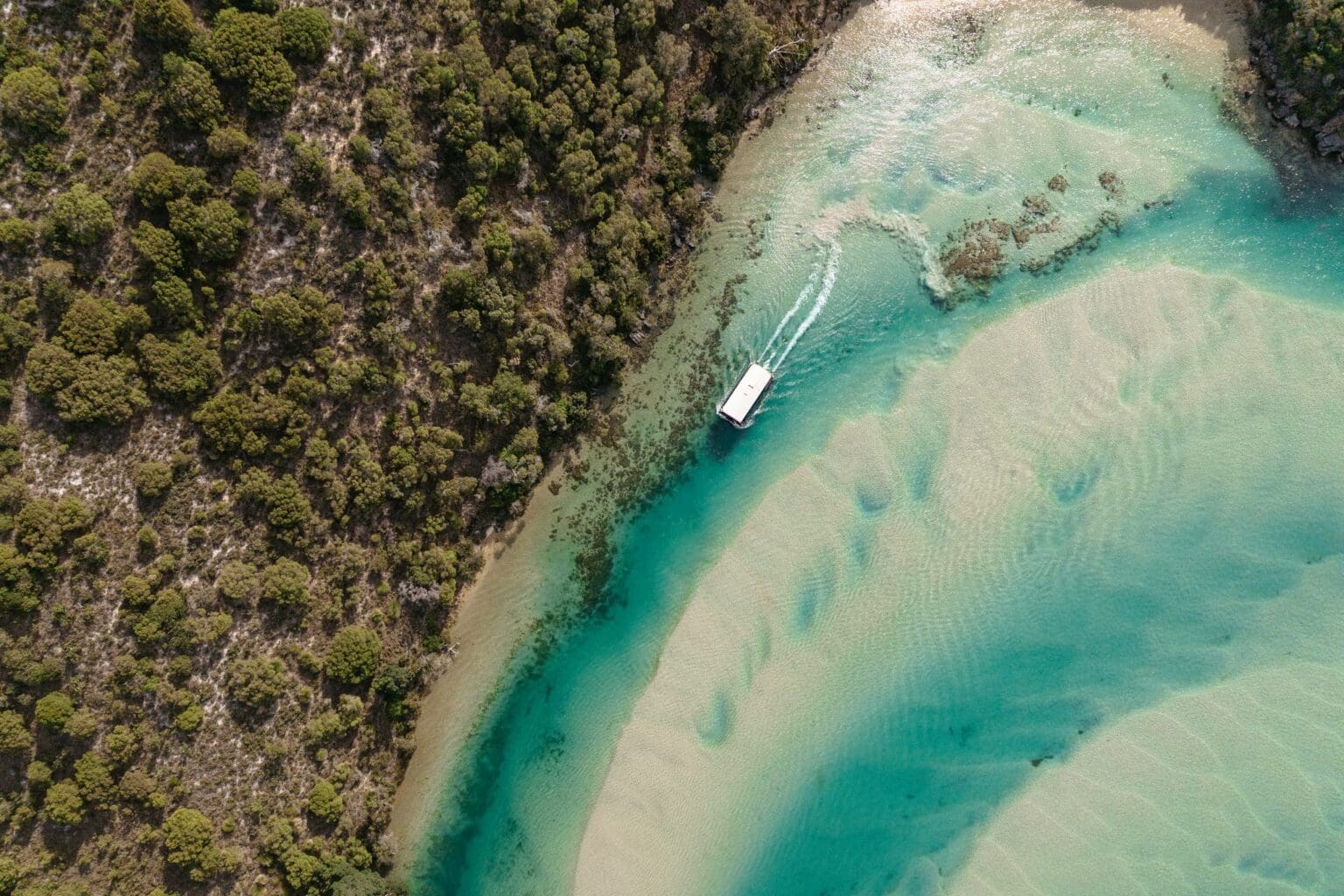 Walpole - Top Things To Do | Australia's South West