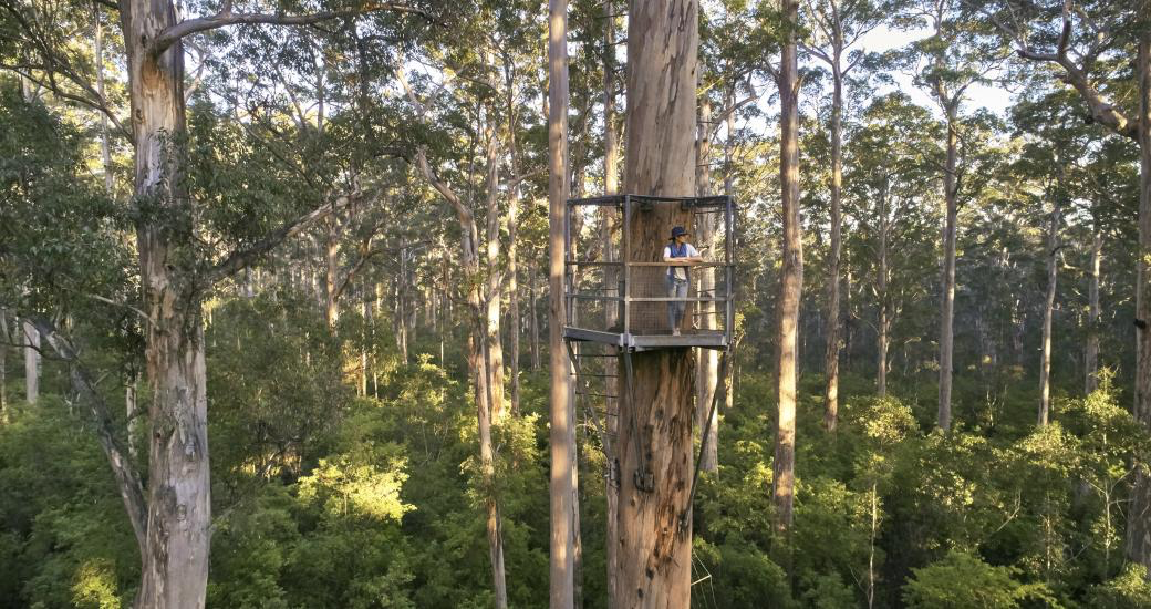 The South West Edge Road Trip - 12 Days Starting in Perth