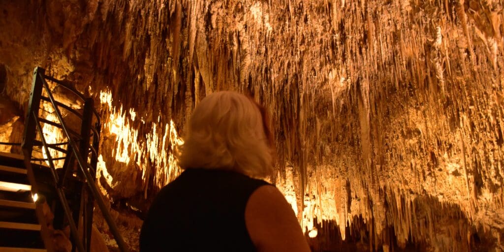 Ngilgi Cave & Ancient Lands Experience | Australia's South West