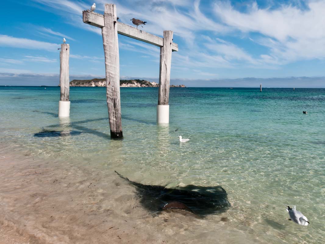 Hamelin Bay Holiday Park | Australia's South West