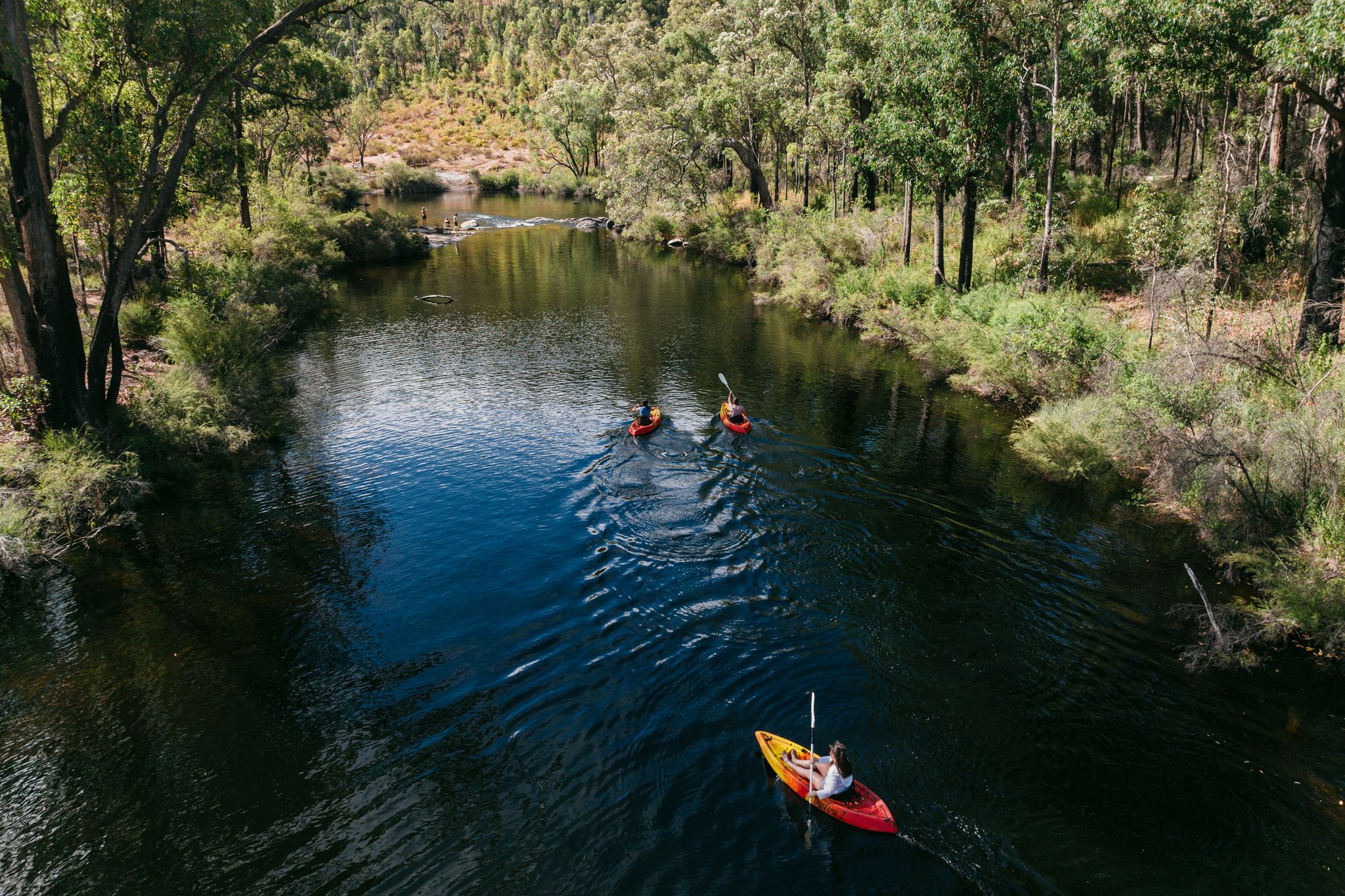 Collie, WA: Things to do, Where to stay & Events in 2025