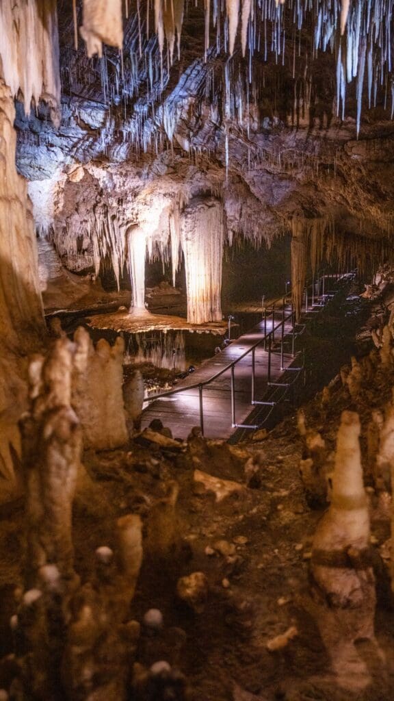 Lake Cave | Australia's South West