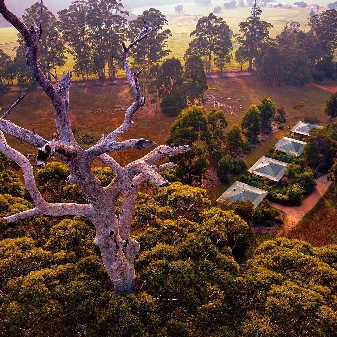 Treenbrook Cottages | Australia's South West