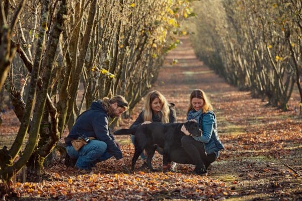 Things To Do In Manjimup, WA | Australia's South West