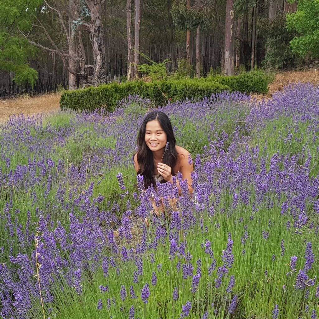 Nannup Lavender Farm and Campground | Australia's South West