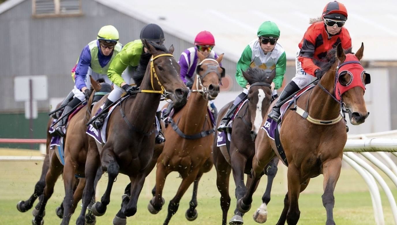 Grapes and Gallops | Australia's South West