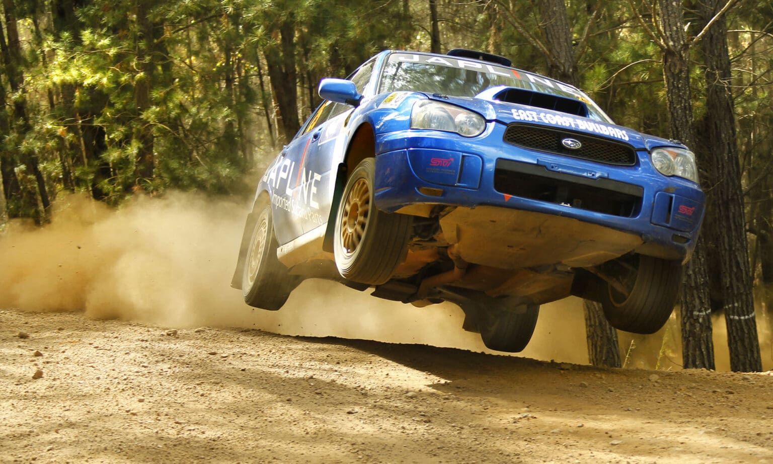 Things to do in the Southern Forests and Valleys