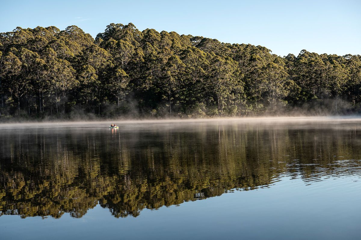 Top 5 Unique Things To Do In Pemberton | Australia's South West