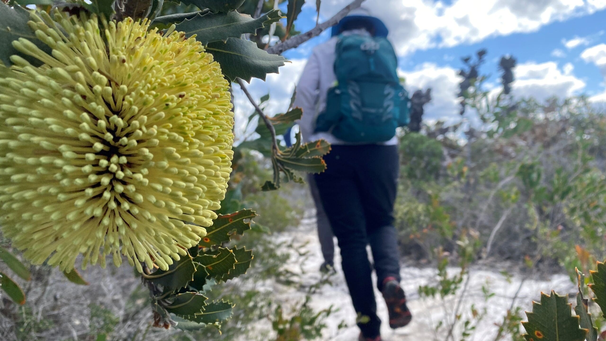 Edgewalkers | Australia's South West