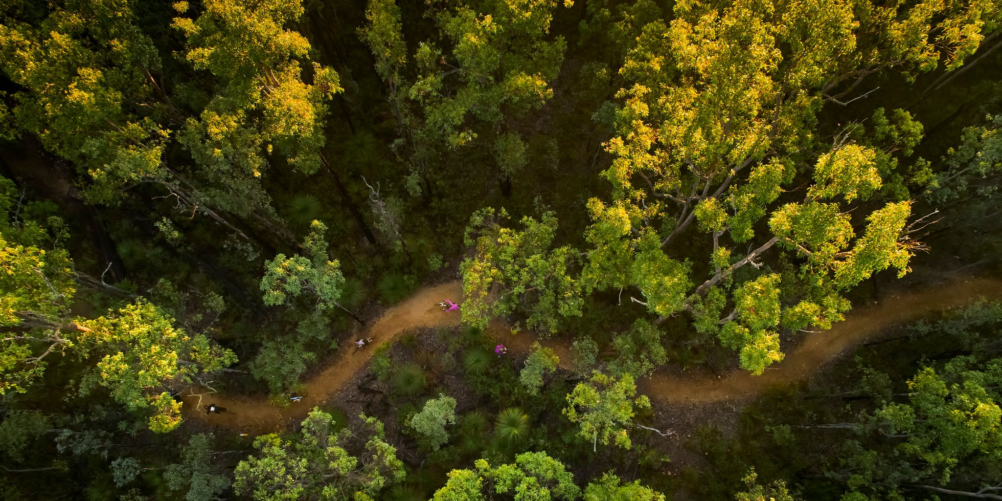 Collie, WA: Things to do, Where to stay & Events in 2025