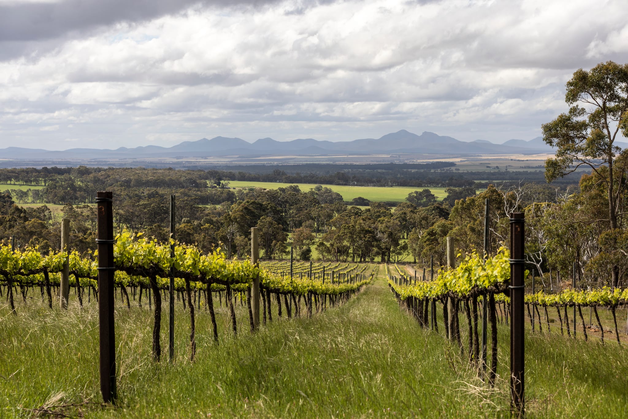 7 Ways To Spend Winter In The Great Southern Treasures | Australia's ...
