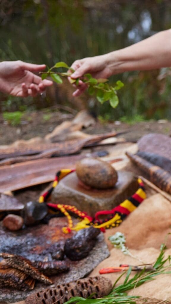 Kambarang In Australia's South West: A Blooming Beautiful Time ...