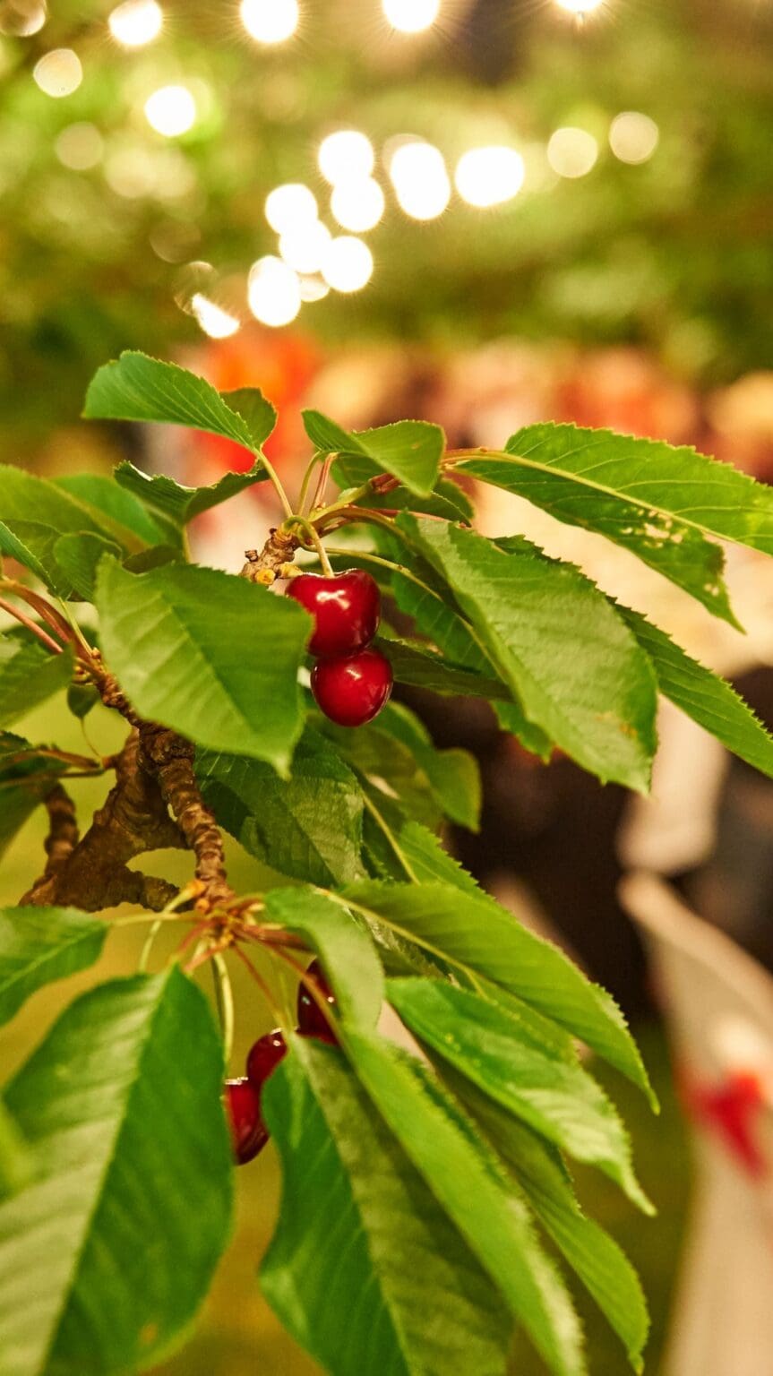 Kambarang In Australia's South West: A Season of Colour, Flavour and ...