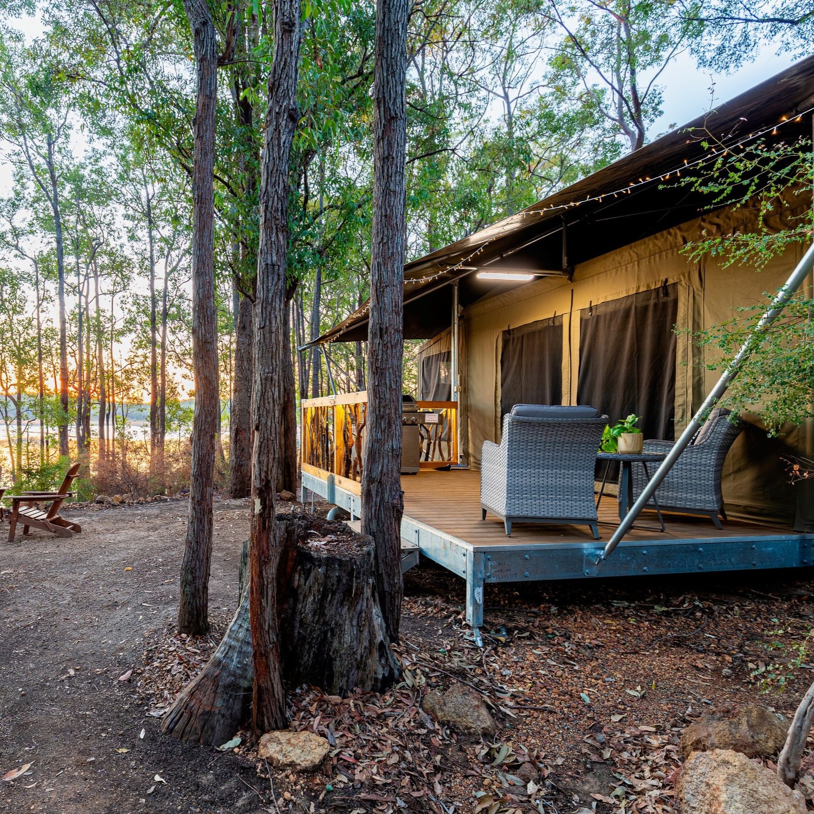 Kambarang In Australia's South West: A Blooming Beautiful Time ...